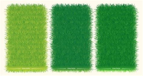 Grass Plan Vector Art Icons And Graphics For Free Download