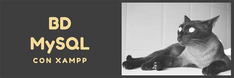 Creación De Bases De Datos Y Tablas En Mysql Con Xampp