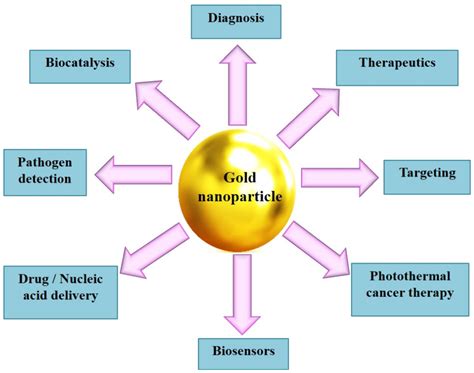 Ijms Free Fulltext The Effects Of Tio2 Nanoparticles