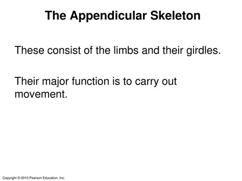 PPT The Appendicular Skeleton PowerPoint Presentation Free Download ID 2176751