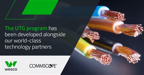 Meaghan Collins Posted On Linkedin