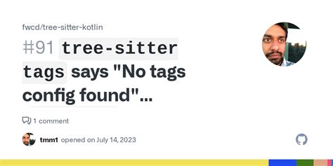 Tree Sitter Tags Says No Tags Config Found Tags Scm Missing