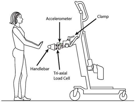 Illustration Of The Experimental Setup Used To Measure Initial And Download Scientific Diagram