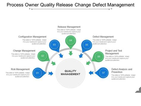 Process Owner Quality Release Change Defect Management PowerPoint