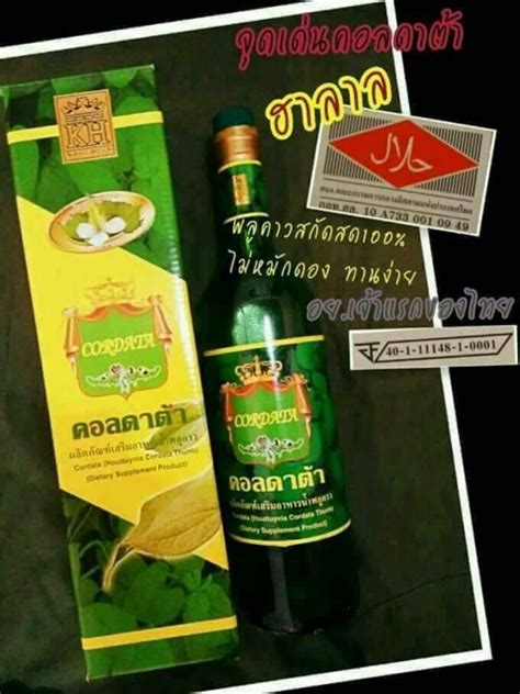 สมุนไพรน้ำพลูคาว คาวตองสกัด Darikamahachai Thaipick