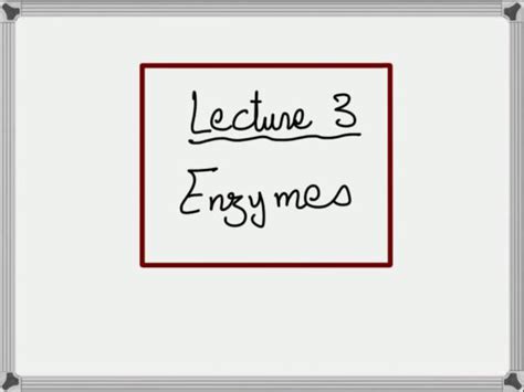 Lecture 3 Enzymes