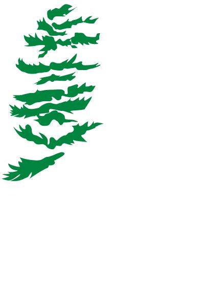 Forest Fire Report Files 1917 2006 Archives Forest History Ontario