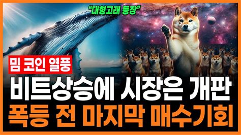 시바이누 암호화폐 시장으로 돈이 쏠린다 시장은 지금 포모단계 혼자만 뒤처졌나 한번에 역전가능 시장은 밈코인 열풍