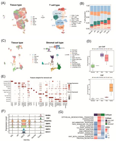 Single Cell Transcriptomics Reveals Cellular Heterogeneity And Drivers In Serrated Pathway