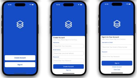 authorization app using uikit without storyboards