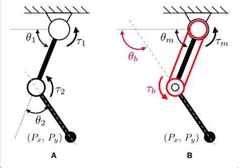 Basic Configuration Of A Two Link System With Two Types Of Actuator