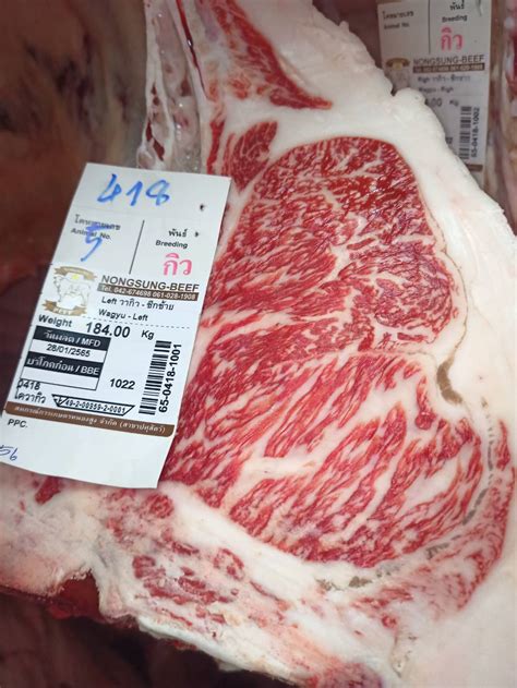 Traindataset11 Object Detection Model By University Of Phayao