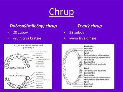 Ppt Zuby Powerpoint Presentation Free Download Id 4714306