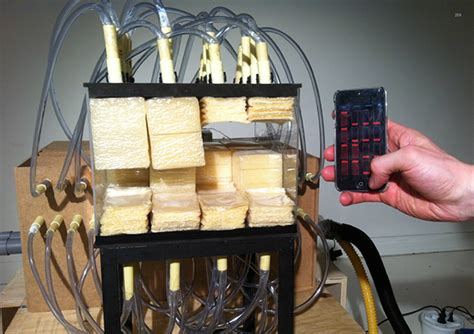 Soft Spaces Transformable Architecture With Sponge On Behance