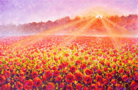 들판 야생화 빨간 양 귀 비 햇빛 수채화 유화 예술 일러스트 레이 션 꽃 풍경 붉은 양 귀 비 0명에 대한 스톡 벡터 아트 및 기타 이미지 Istock