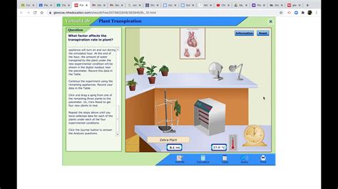 Plant Transpiration Virtual Lab Video Using Glencoemheducation