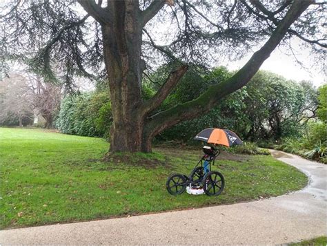 Tree Radar Unit For Expert Root Survey 2024 Arboraeration