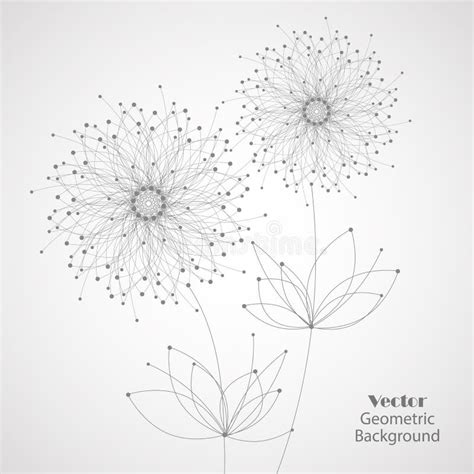 Geometric Pattern With Connected Lines And Dots Stock Vector Illustration Of Geometric Curve