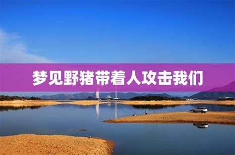 梦见野猪带着人攻击我们 命理解梦