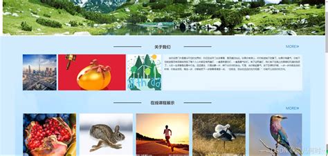 php基于php的摄影门户网站设计与实现 csdn博客