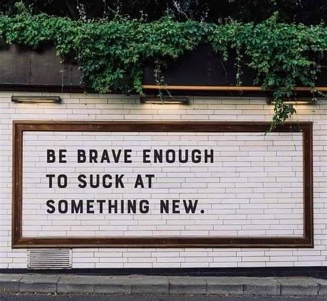 Roumen V Rouming Z Bavn A Zaj Mav Obr Zky Mrga Odvahabejttotalnenahouby