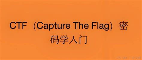 【ctf Os】开箱即用的ctf系统！满足你的黑客梦！ Cn Sec 中文网