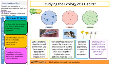 Studying The Ecology Of A Habitat Ecological Sampling Oxford Aqa A