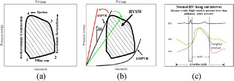A Shows The Right Ventricle Pv Loop When The Right Atrium Contracts