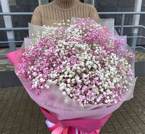 Букет №71 Цветная Гипсофила