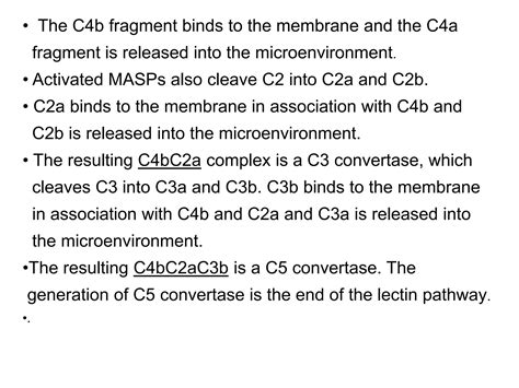 Complement System And Its Activation Pathways Pdf
