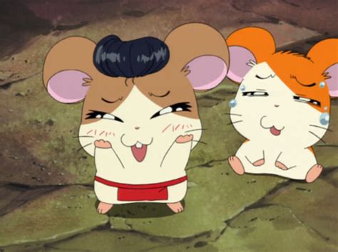 Zuzuzu Inside The Dream Gallery The Hamtaro Wiki Fandom