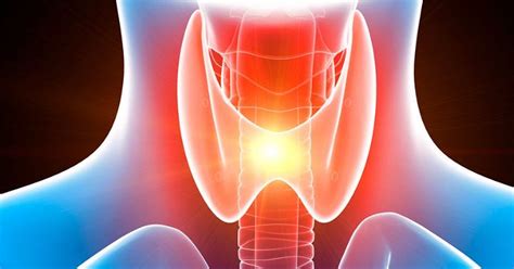 Thyroid थायरॉईड किती प्रकारचे असतात शरीरावर कसा परिणाम होतो Thyroid Types Hyperthyroidism