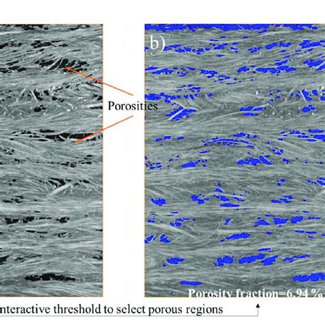 A A Grayscale Tomographic Slice Of The Flaxpp Specimen With 7