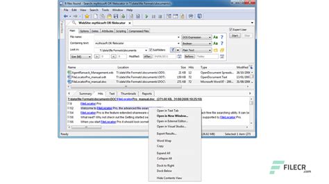 Mythicsoft Filelocator Lite 20223535 Filecr