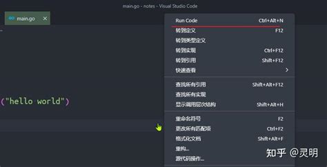 Go 语言第二章：使用 Vscode 为 Go 语言开发 Ide 知乎