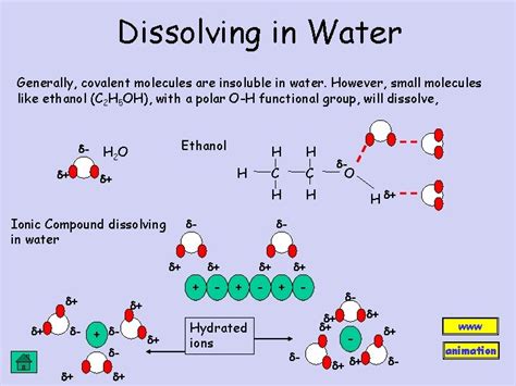 Polar Covalent Bond Animation