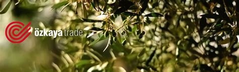 Ozkaya Trade Linkedin