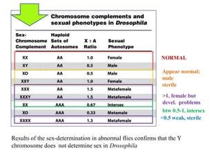Sex Determination And Sex Linkage Dr Pratibha Bisen Pdf Reproductive Health Diseases And