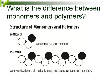 Chapter 2 3 Carbon Compounds Monomer Vs Polymer
