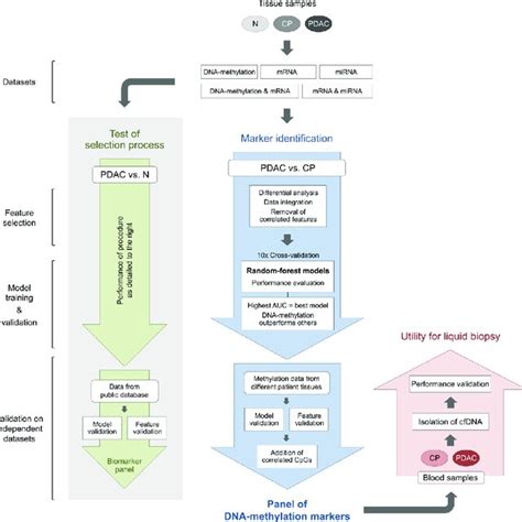 Schematic Workflow Of Biomarker Selection Process Single Omic And Download Scientific