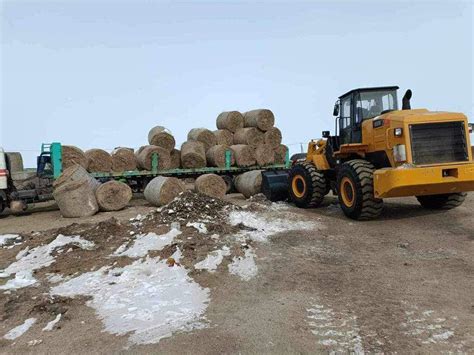 НЭМЭЛТ ХҮЧ ИЛГЭЭЛЭЭ Монгол Улсын Зэвсэгт хүчний томилгоот бүлгүүд өнөөдрийн байдлаар 17 аймагт