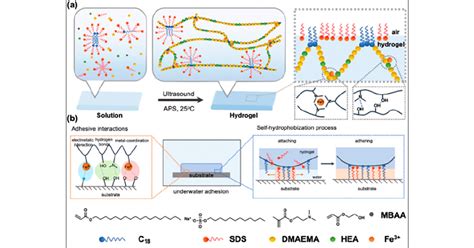 Ultrasonic Induced Synthesis Of Underwater Adhesive And Antiswelling Hydrogel For Strain Sensor