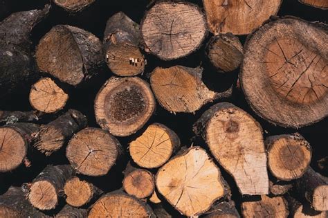 Premium Photo Tree Trunks As A Background