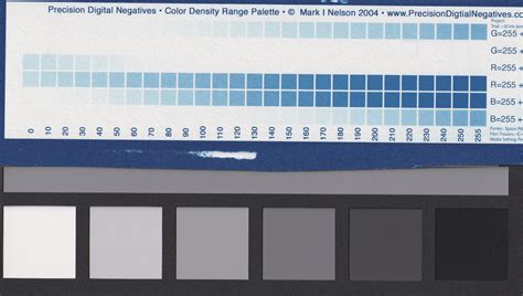 Darkroom Variables Colorized Negatives Paolo Saccheri