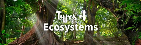 Different Ecosystems