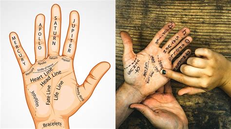 Different Types Of Hands In Palmistry