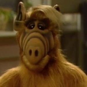 Alf Season Episode Rotten Tomatoes