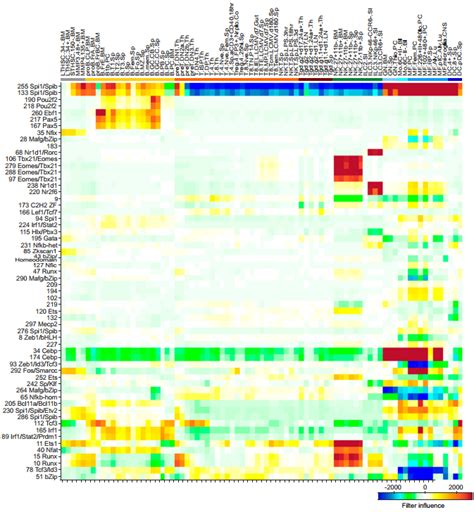 Pnas 深度学习揭示免疫细胞分化机制 知乎
