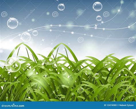 Bubble And Green Grass Stock Vector Illustration Of Nice 12474580
