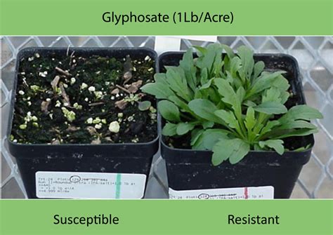 Take Actions 2025 Herbicide Classification Chart Now Available Getting Rid Of Weeds